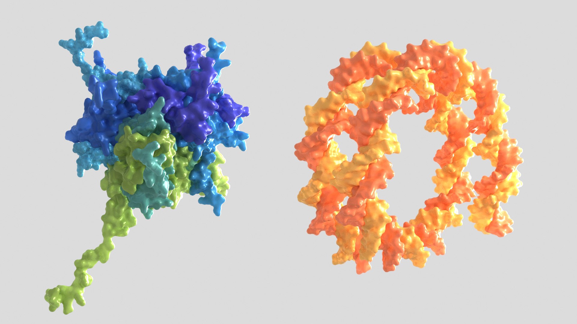 3D Nucleosome with DNA - TurboSquid 2095781