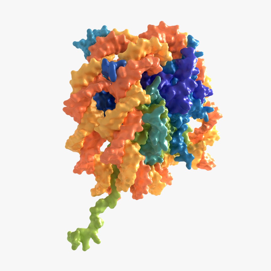 3D Nucleosome with DNA - TurboSquid 2095781