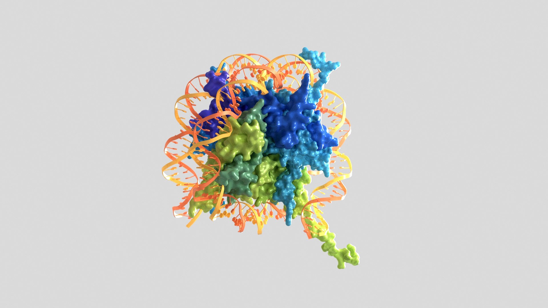 3D Nucleosome with DNA - TurboSquid 2095781