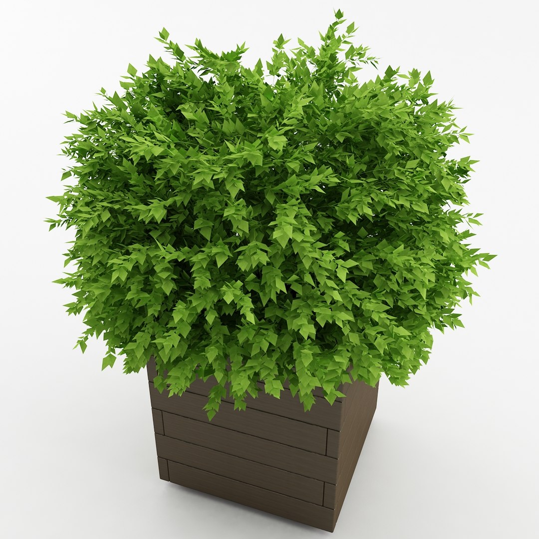 Planter Box 3D Model - TurboSquid 1301068