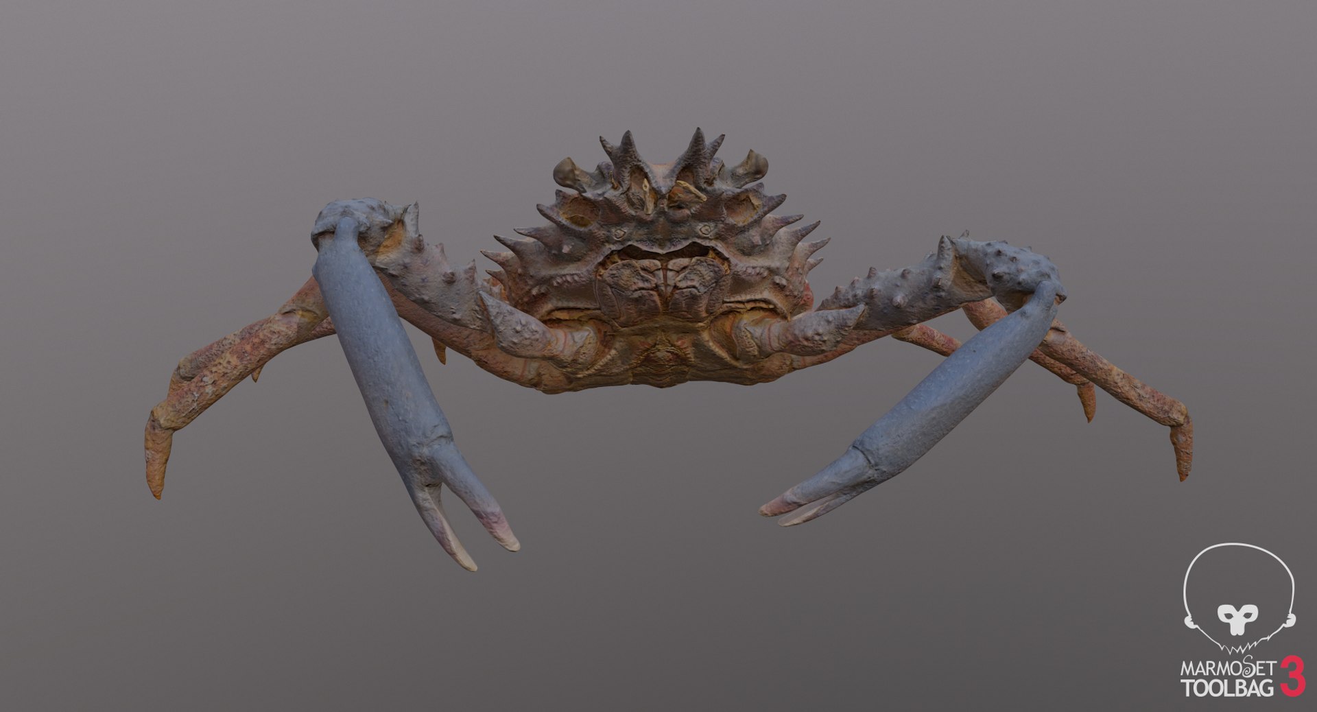 3D Decorator Spider Crab - TurboSquid 1411100