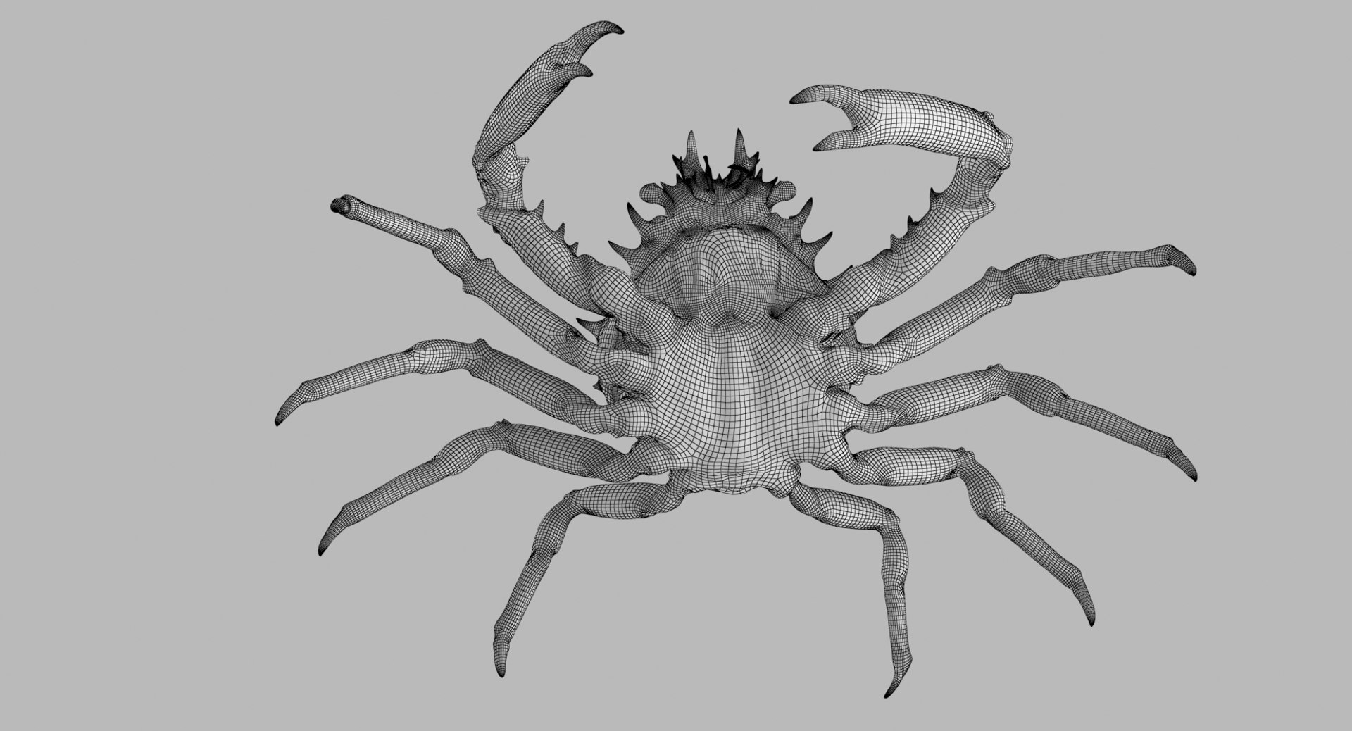 3D decorator spider crab - TurboSquid 1411100