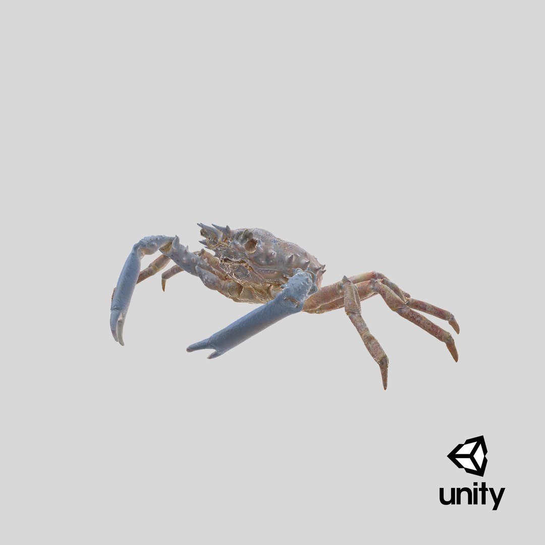 3D decorator spider crab - TurboSquid 1411100