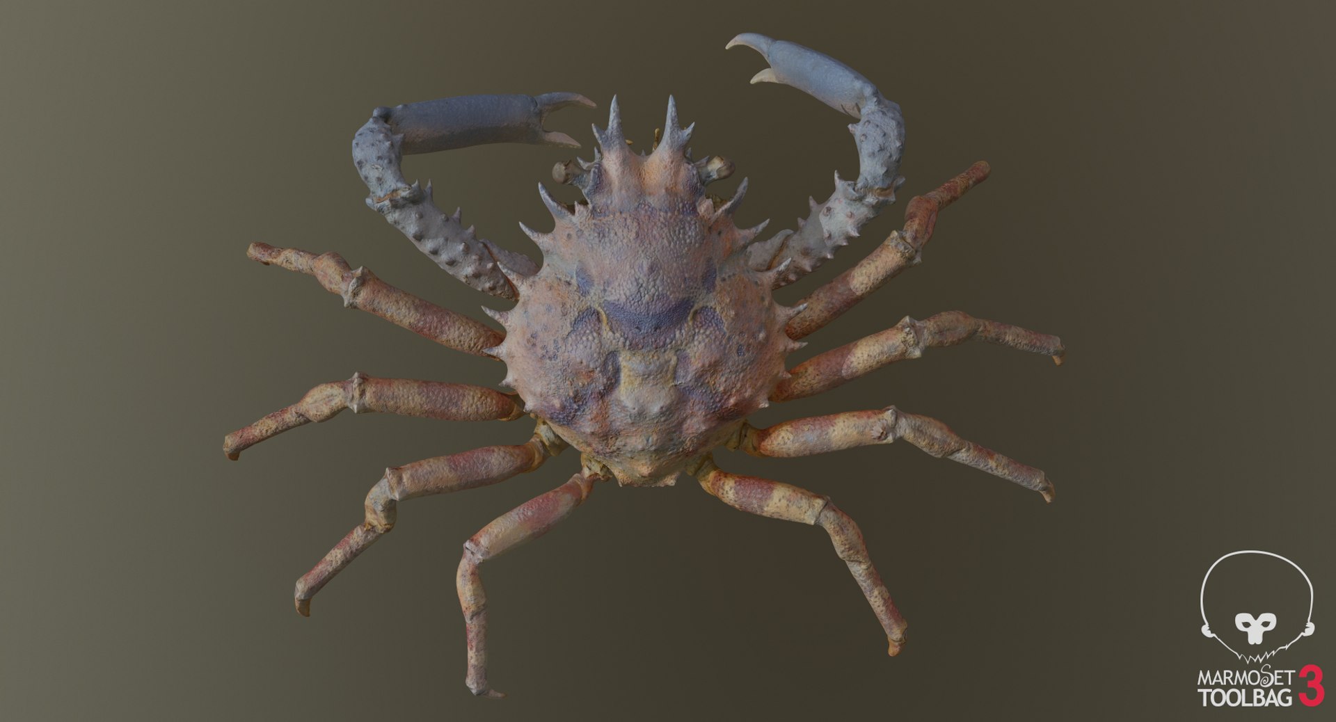 3D Decorator Spider Crab - TurboSquid 1411100
