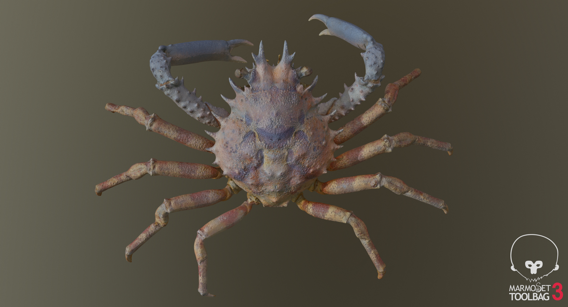 3D decorator spider crab - TurboSquid 1411100