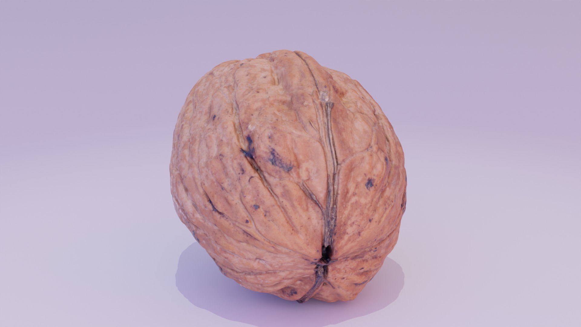 3D Walnut Fruit 03 High-poly 3D Model - TurboSquid 1836811