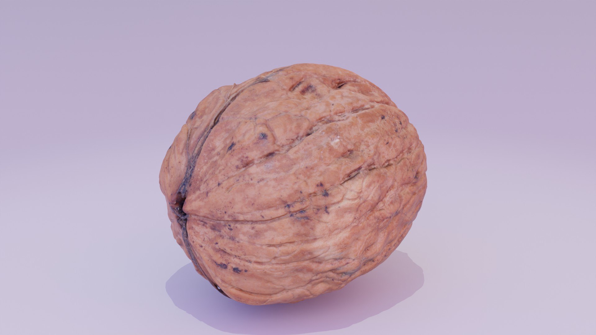 3D Walnut Fruit 03 High-poly 3D Model - TurboSquid 1836811