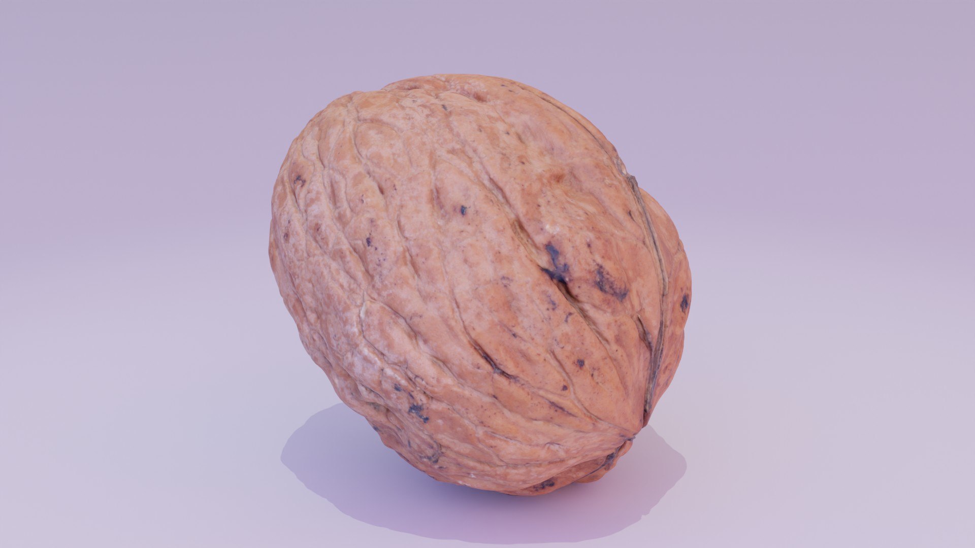 3D Walnut Fruit 03 High-poly 3D Model - TurboSquid 1836811