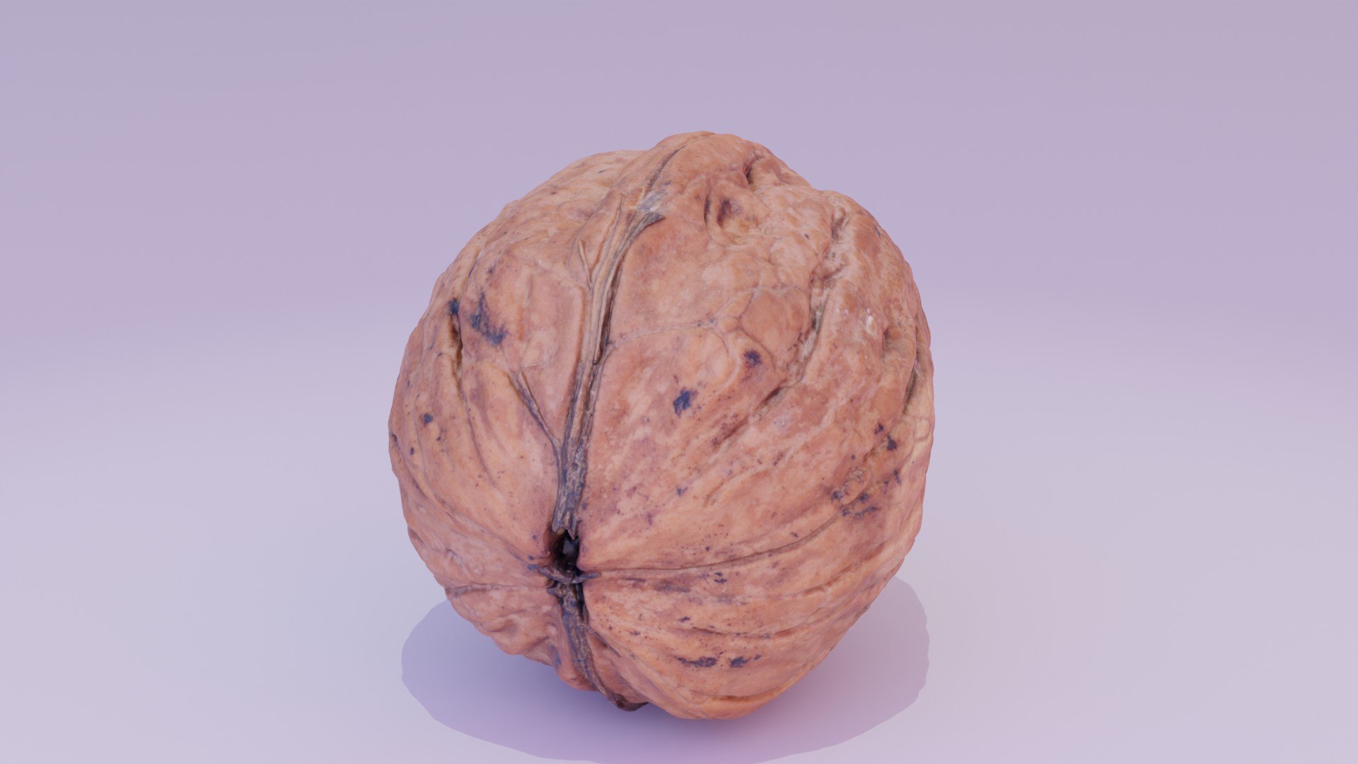 3D Walnut Fruit 03 High-poly 3D Model - TurboSquid 1836811