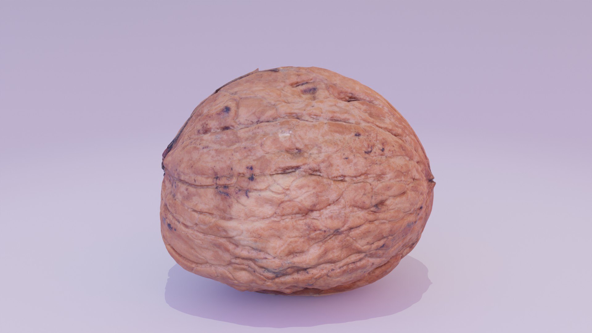 3D Walnut Fruit 03 High-poly 3D Model - TurboSquid 1836811