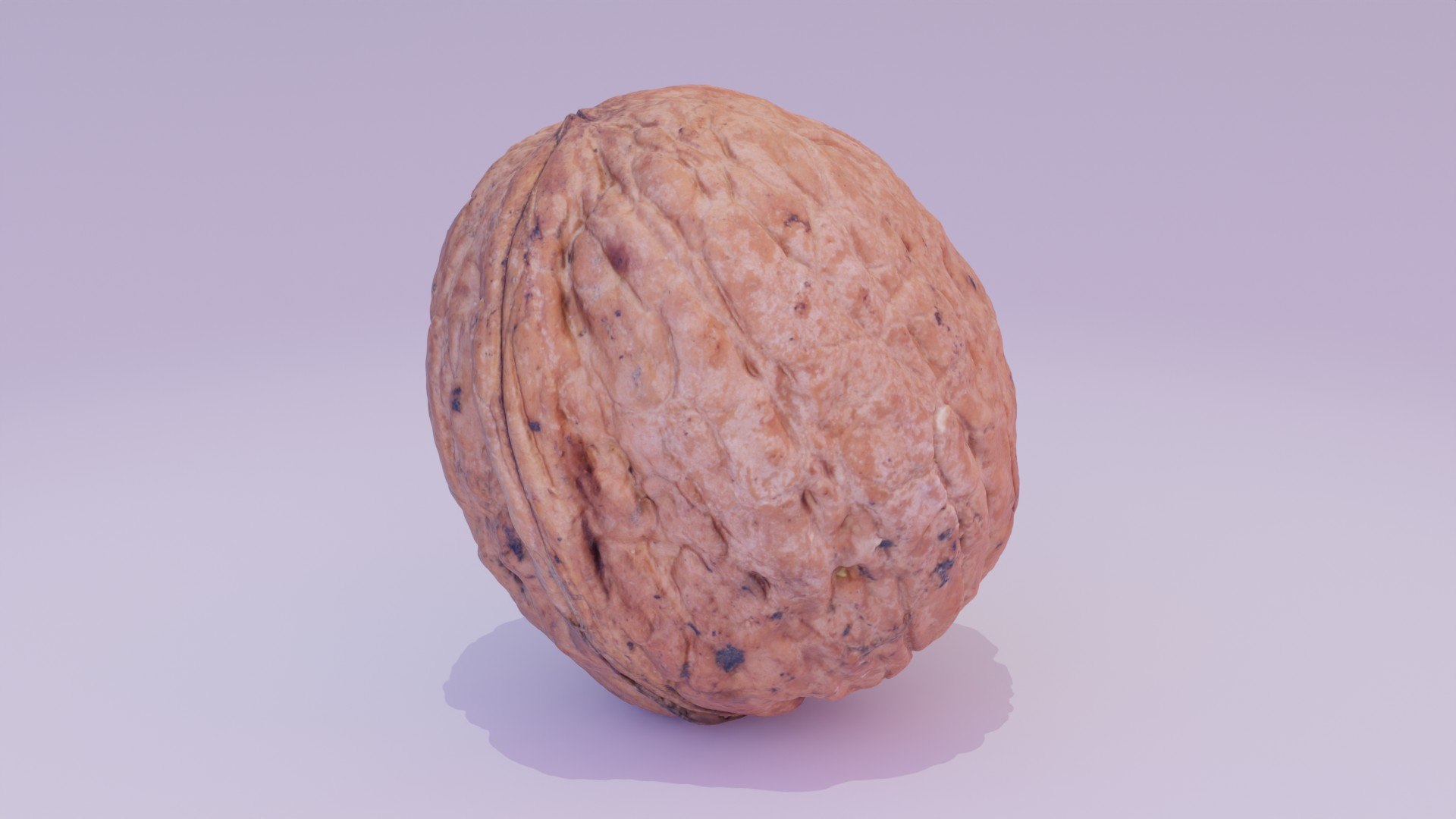 3D Walnut Fruit 03 High-poly 3D Model - TurboSquid 1836811