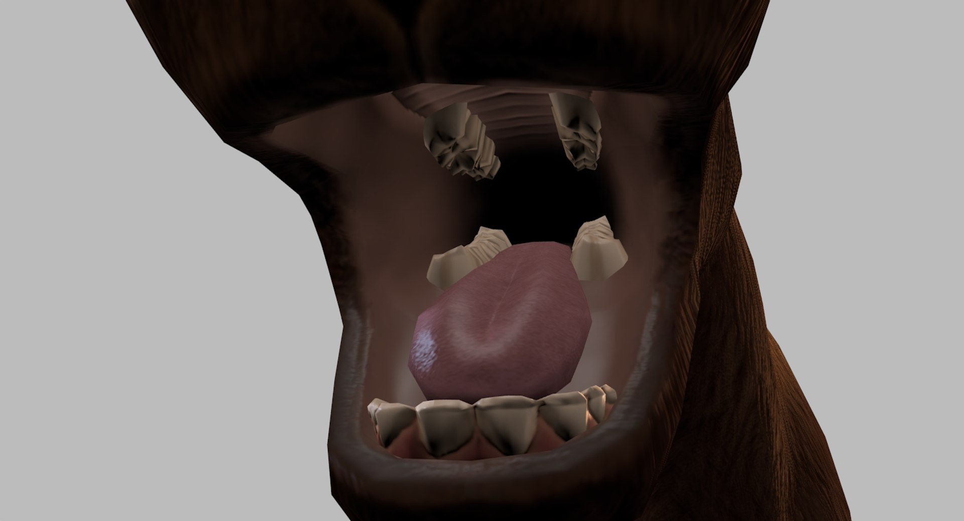 Ready Moose 3D Model - TurboSquid 1253495