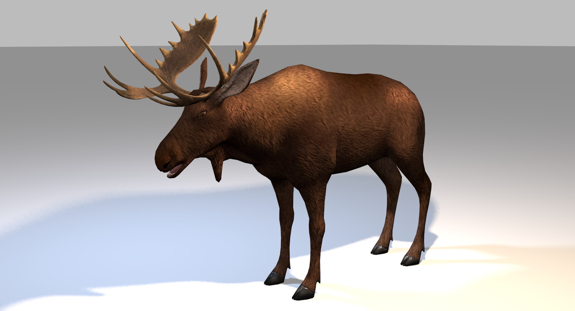 Ready Moose 3D Model - TurboSquid 1253495