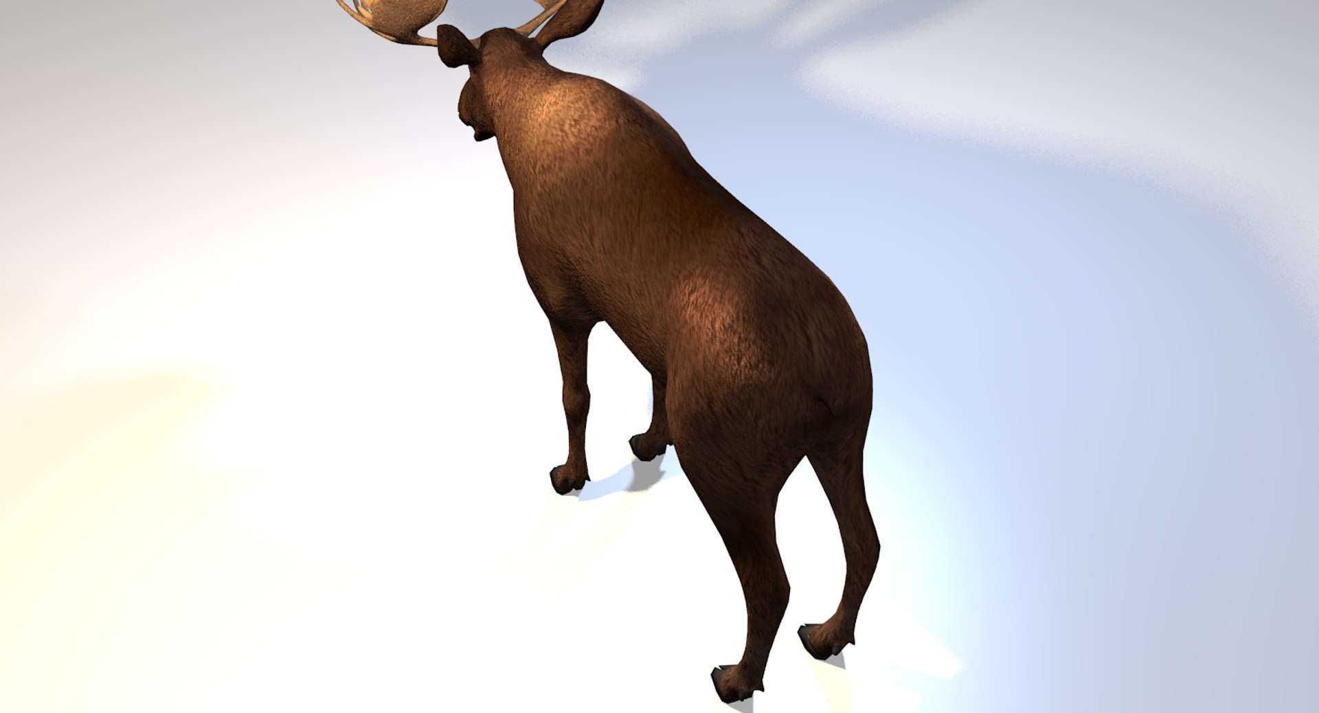 Ready Moose 3D Model - TurboSquid 1253495