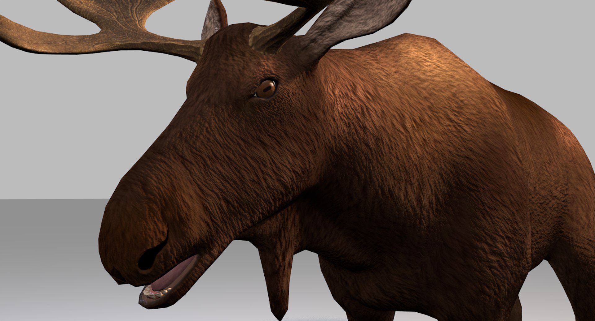 Ready Moose 3D Model - TurboSquid 1253495