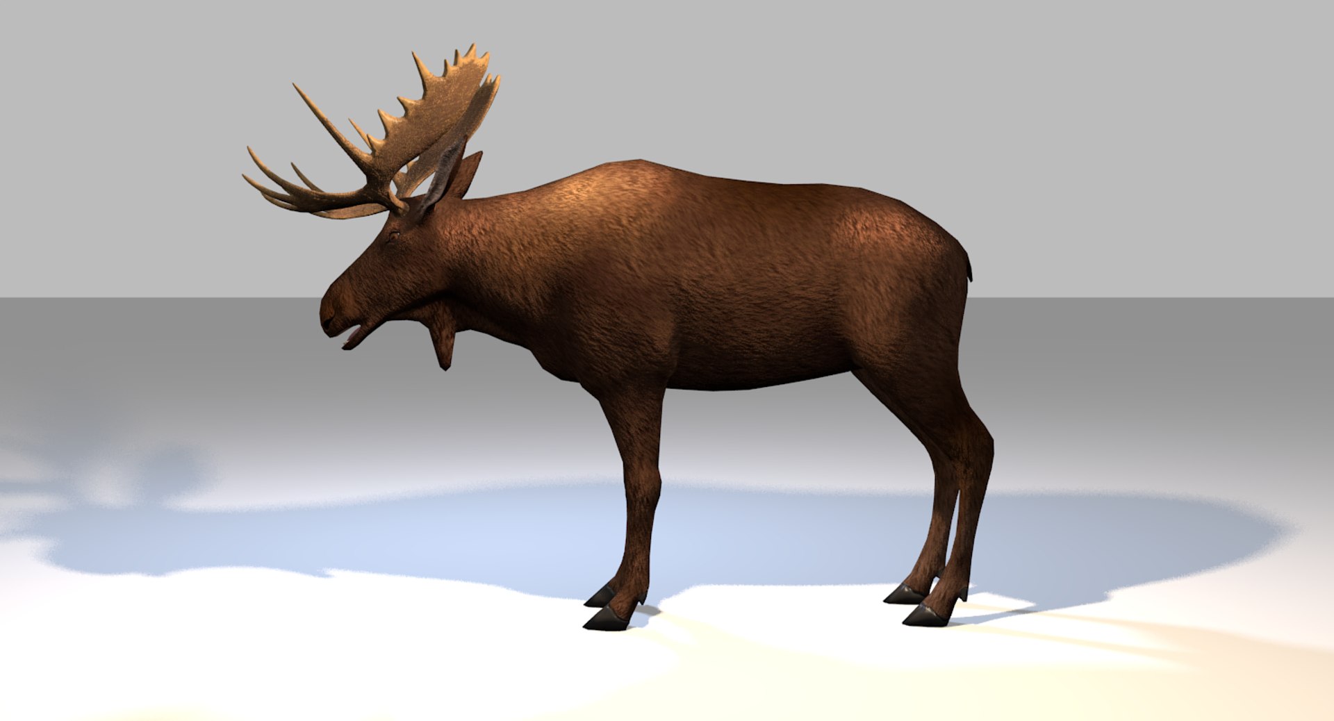 Ready Moose 3D Model - TurboSquid 1253495