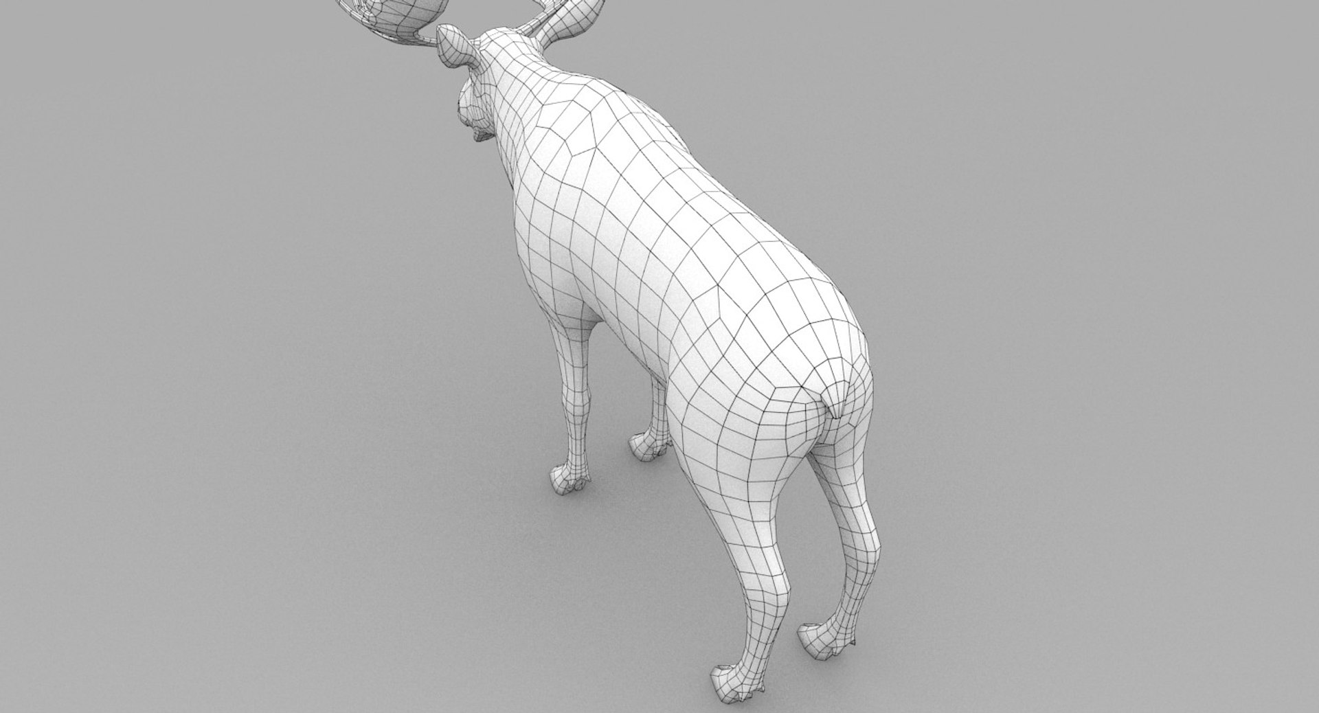 Ready Moose 3D Model - TurboSquid 1253495