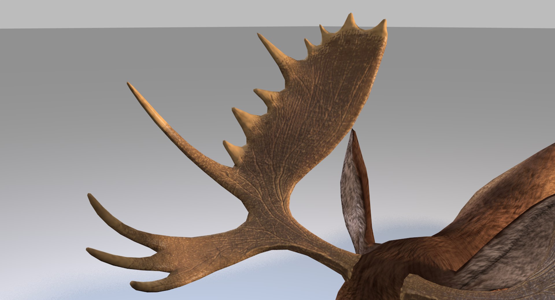 Ready Moose 3D Model - TurboSquid 1253495
