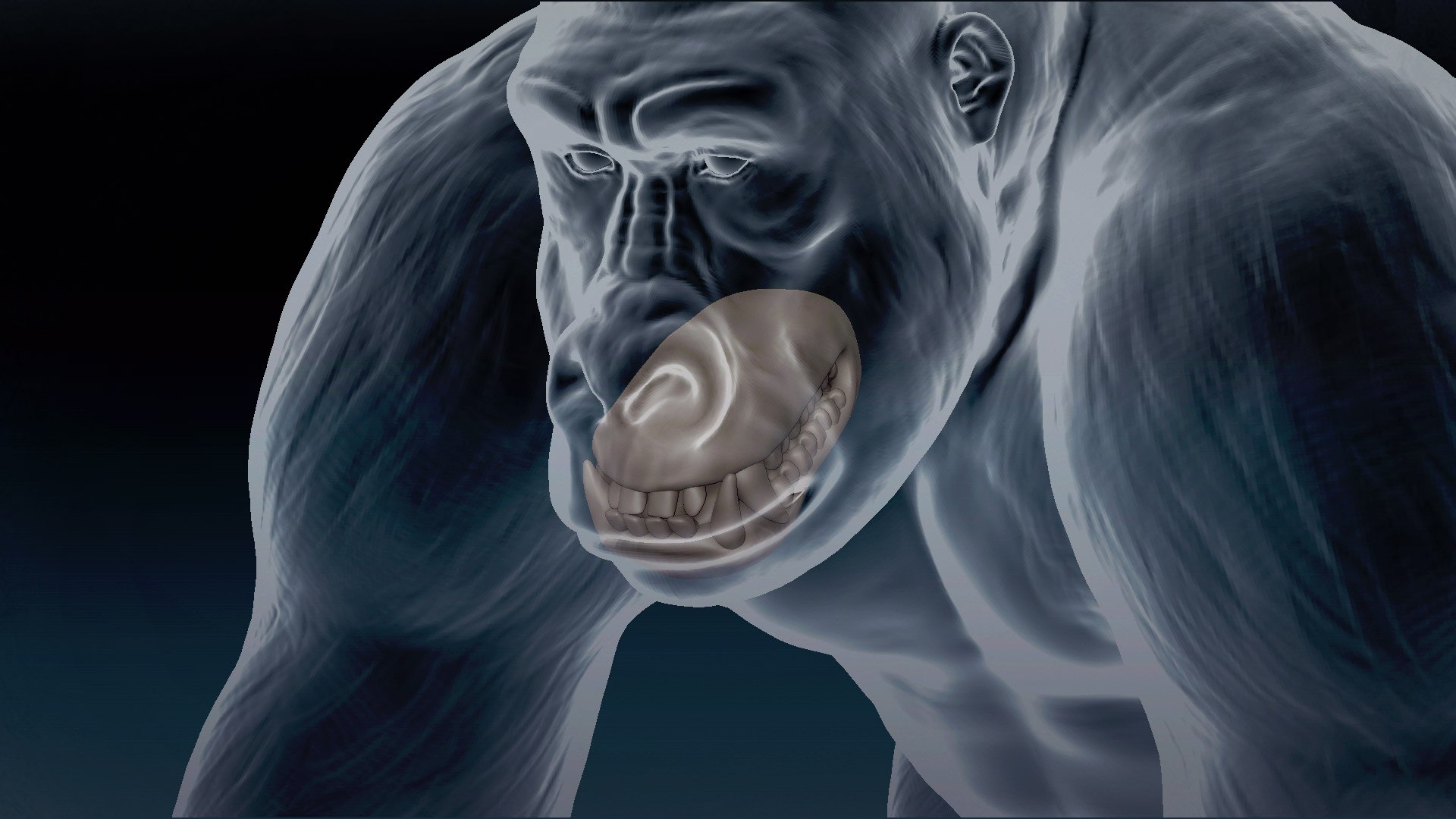 Gorilla Base Mesh 3D Model 3D Model - TurboSquid 1863217
