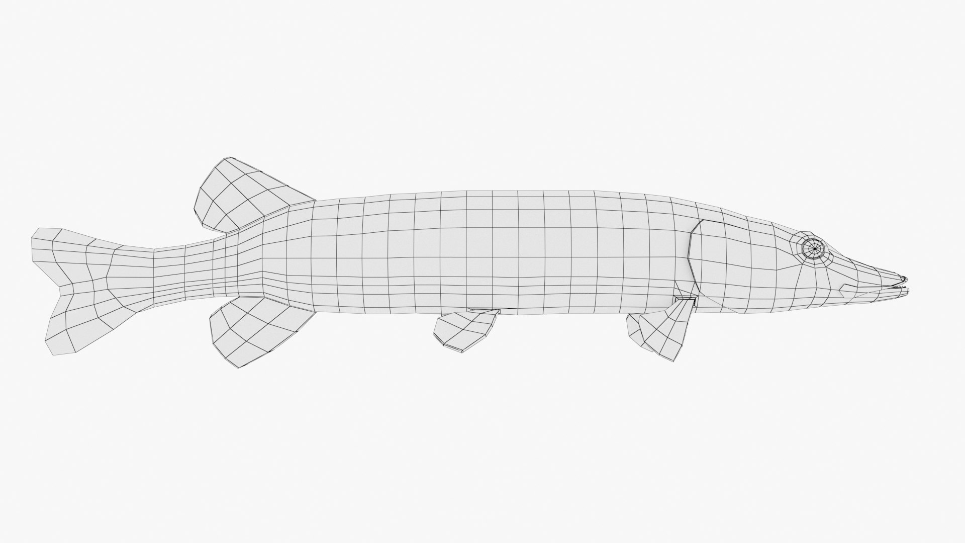 3D Redfin Pickerel Adult - TurboSquid 1844310