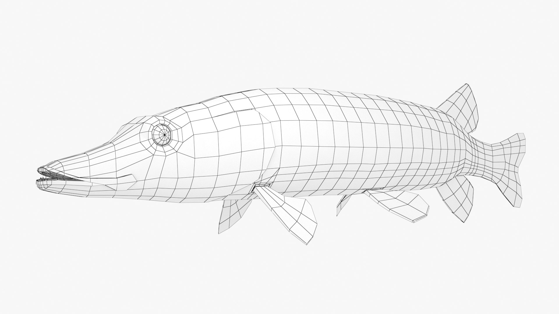 3D Redfin Pickerel Adult - TurboSquid 1844310