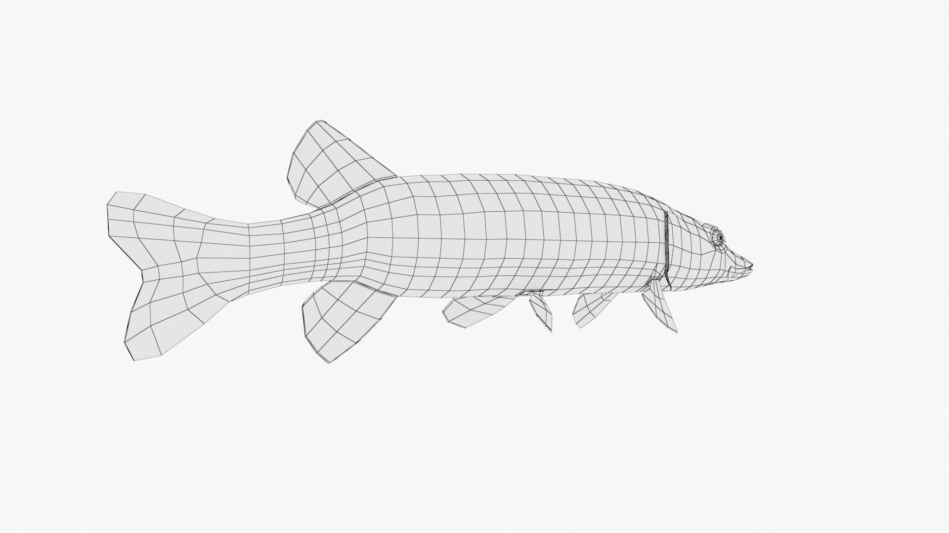 3D Redfin Pickerel Adult - TurboSquid 1844310