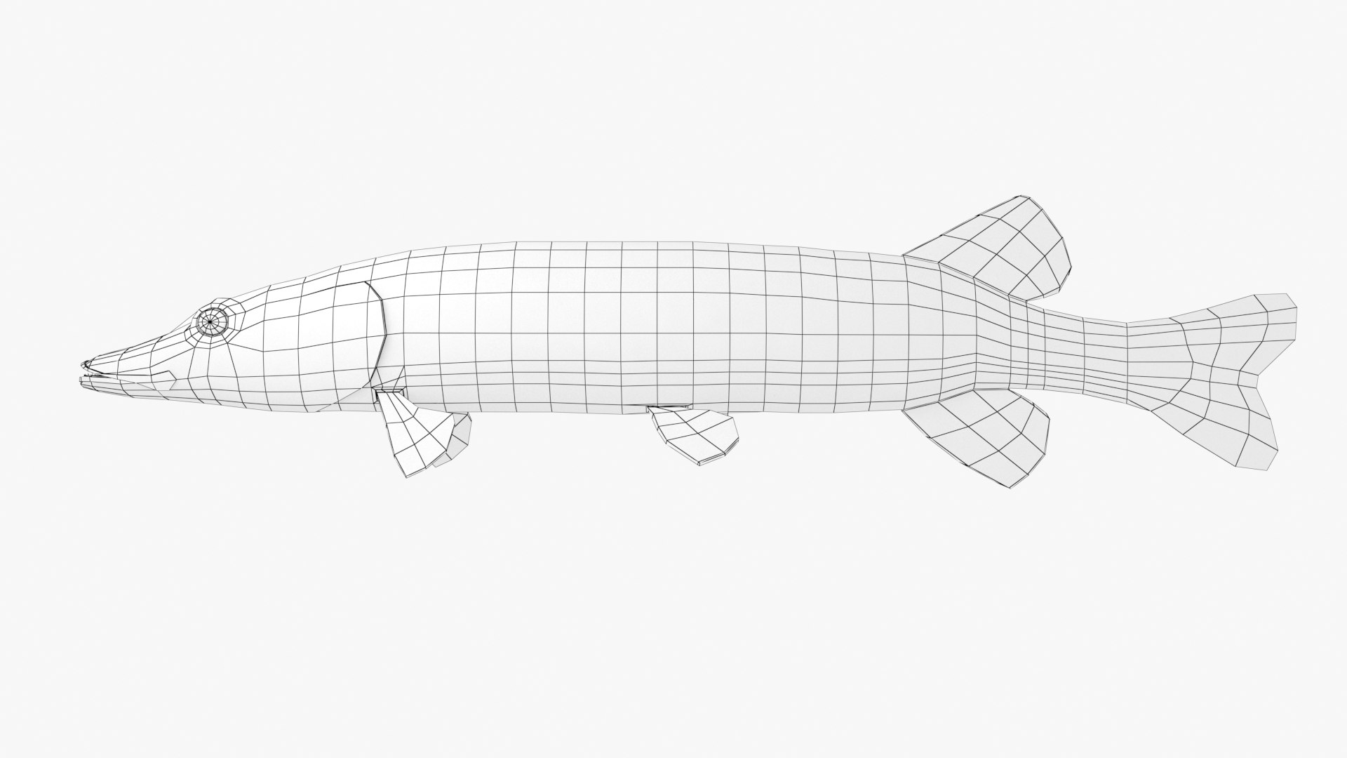 3D Redfin Pickerel Adult - TurboSquid 1844310