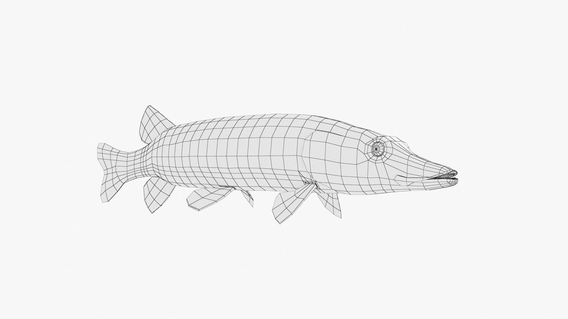3D Redfin Pickerel Adult - TurboSquid 1844310