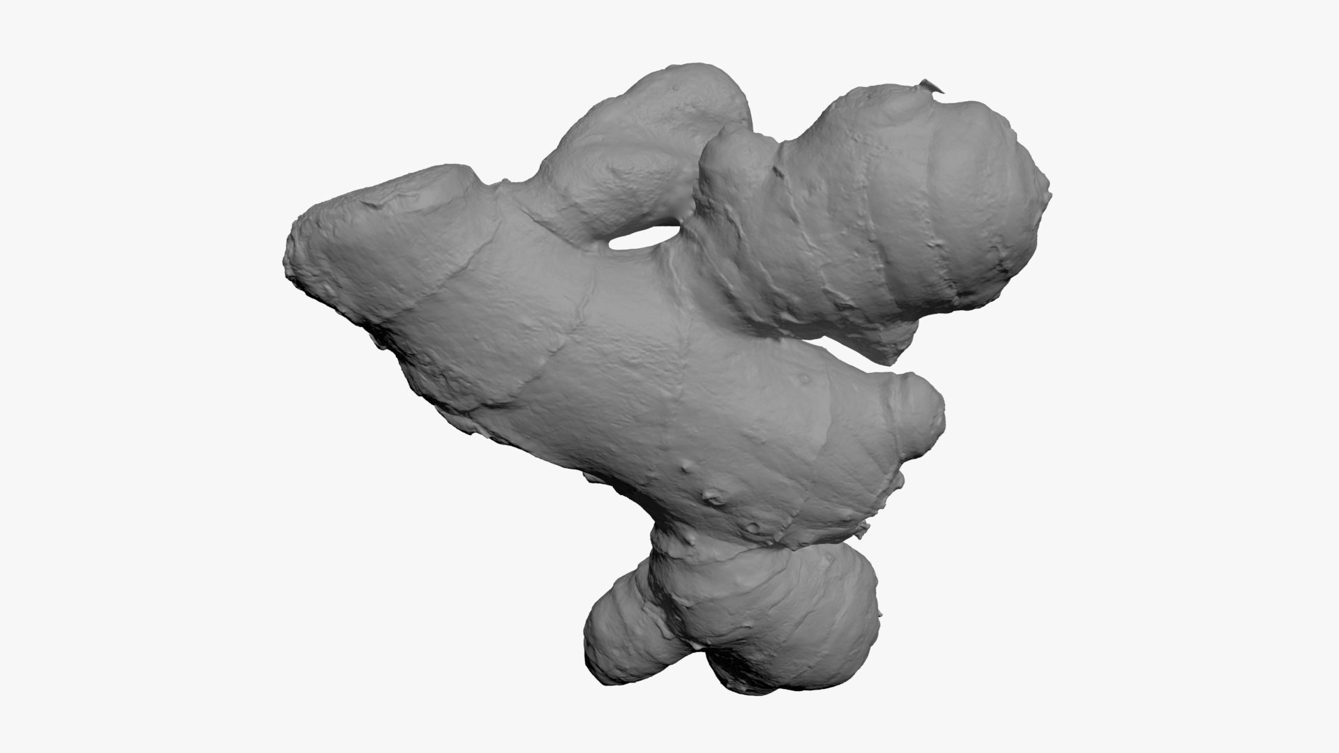 3D Ginger Root 02 For 3D Print Model - TurboSquid 2387963