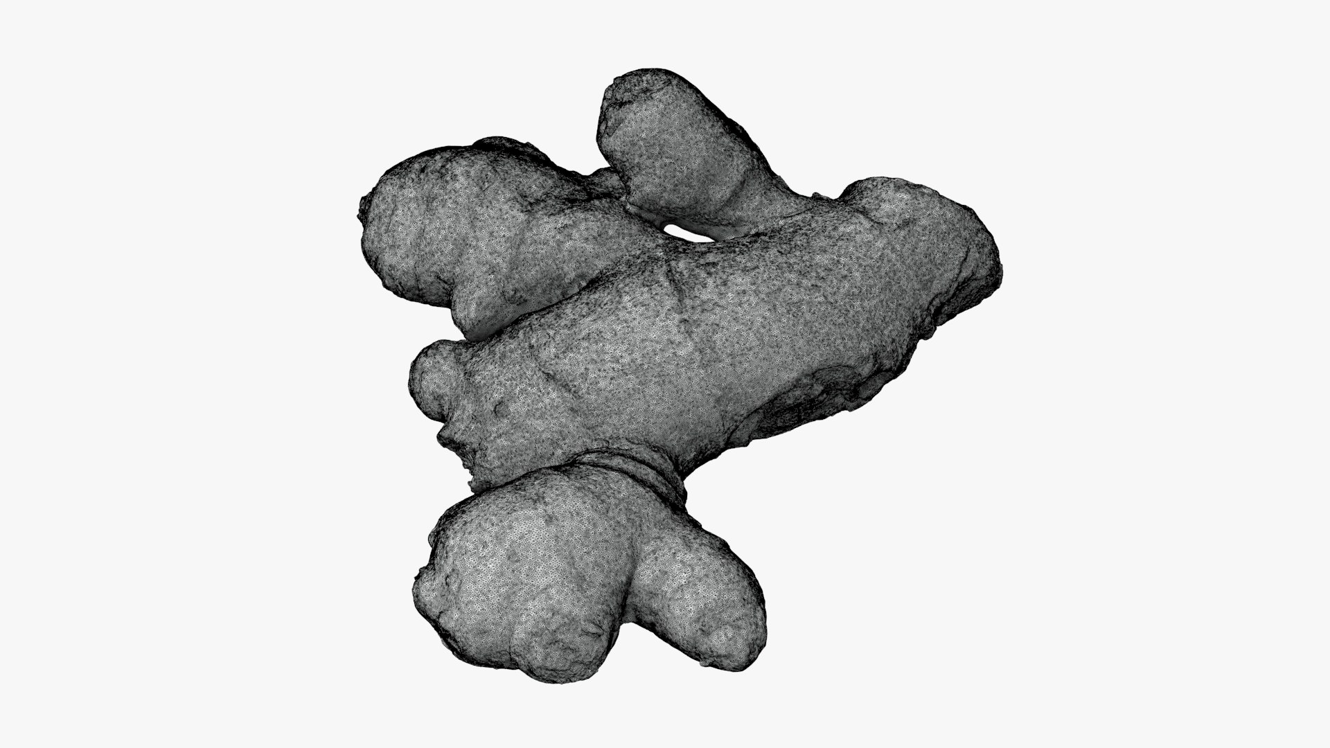 3D Ginger Root 02 For 3D Print Model - TurboSquid 2387963