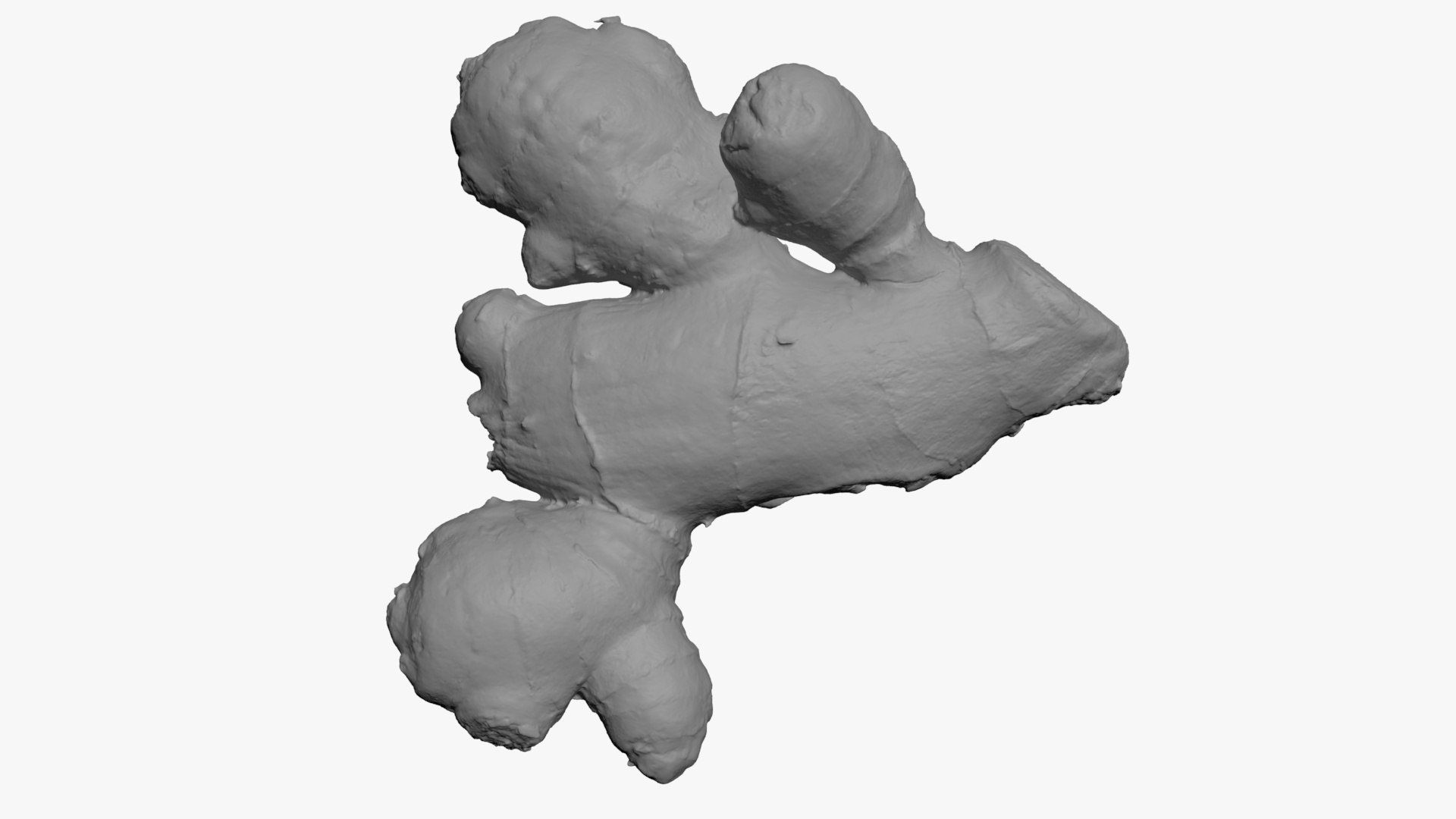 3D Ginger Root 02 For 3D Print Model - TurboSquid 2387963