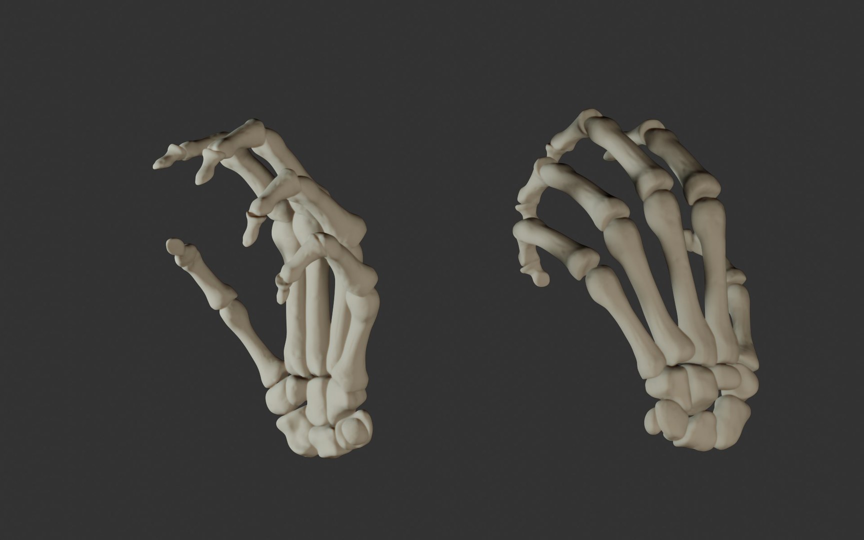 Human Hand Bones 3D Model - TurboSquid 1798142