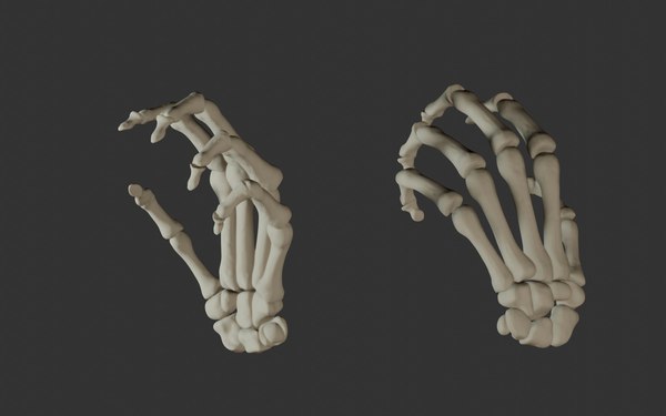 Human Hand Bones 3D model - TurboSquid 1798142