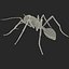 3d Army Ant Insect