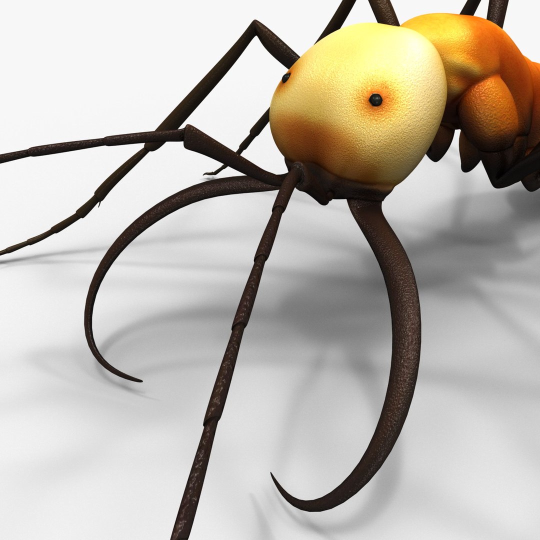 3d Army Ant Insect