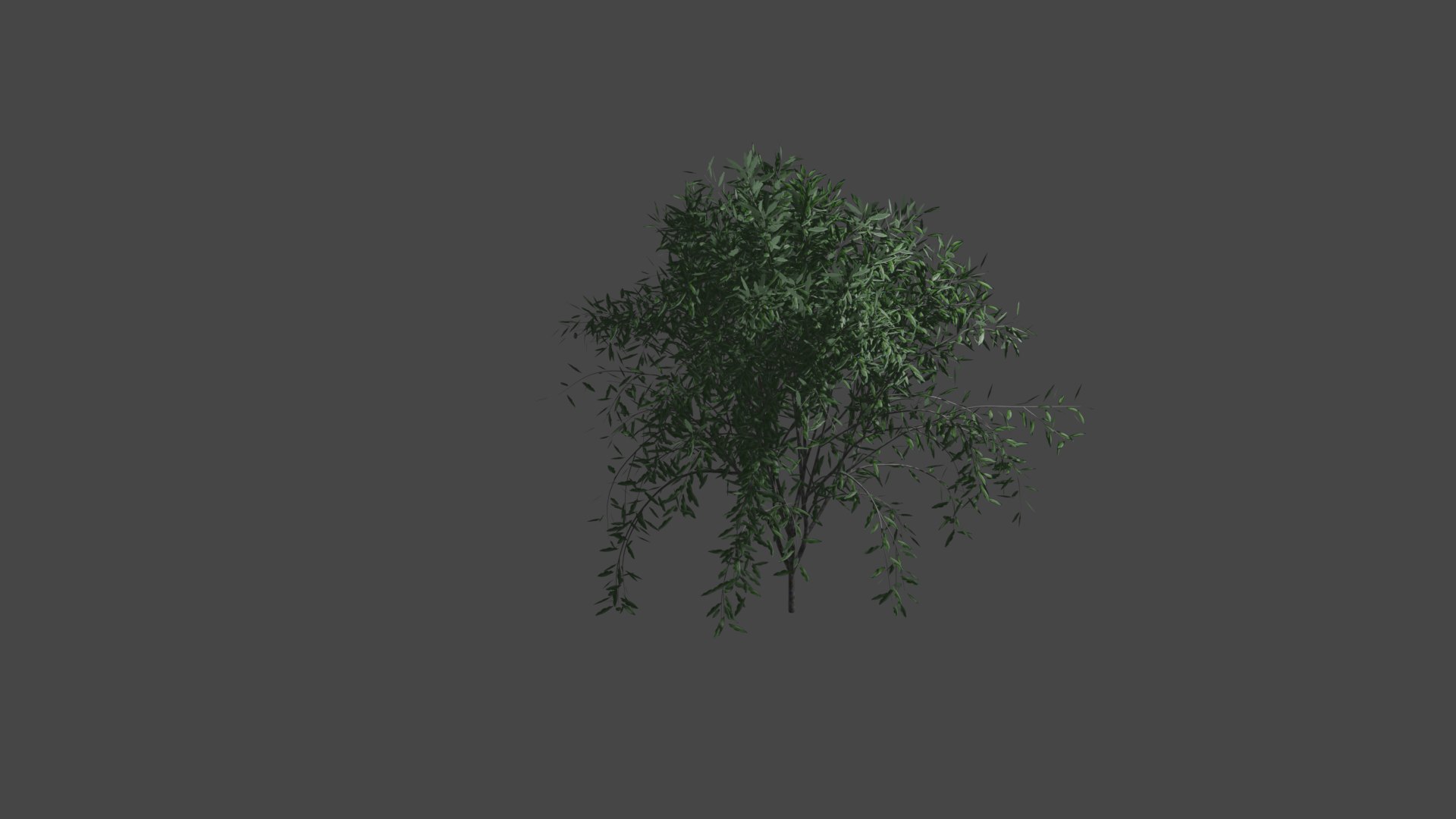 Little Tree Model - TurboSquid 1624122