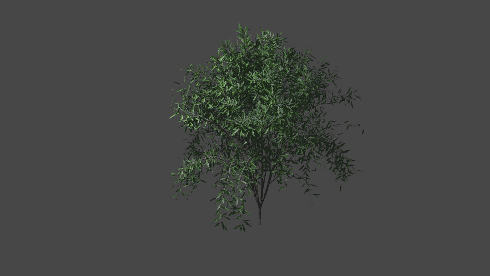 Little Tree Model - TurboSquid 1624122