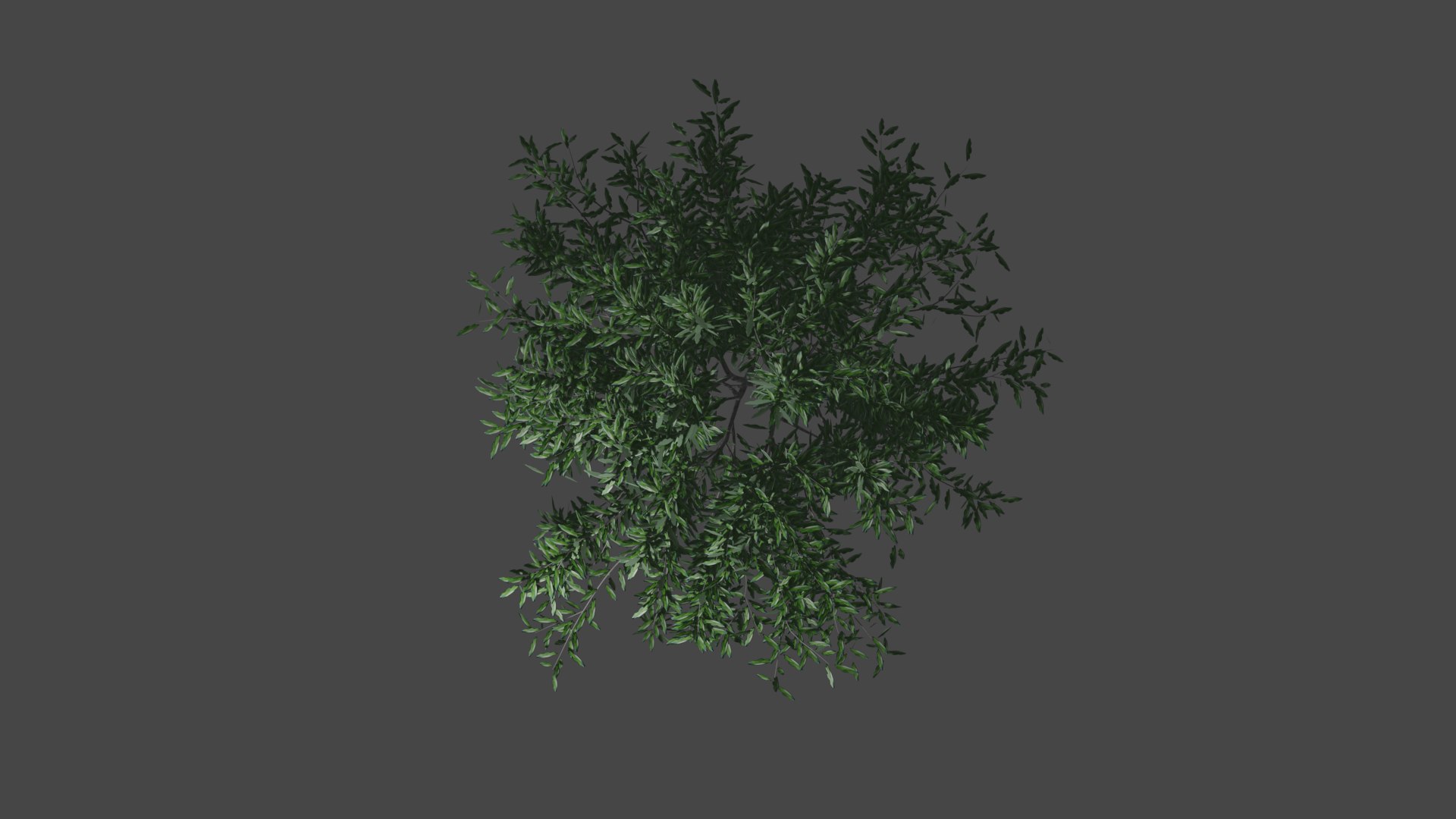 Little Tree Model - TurboSquid 1624122