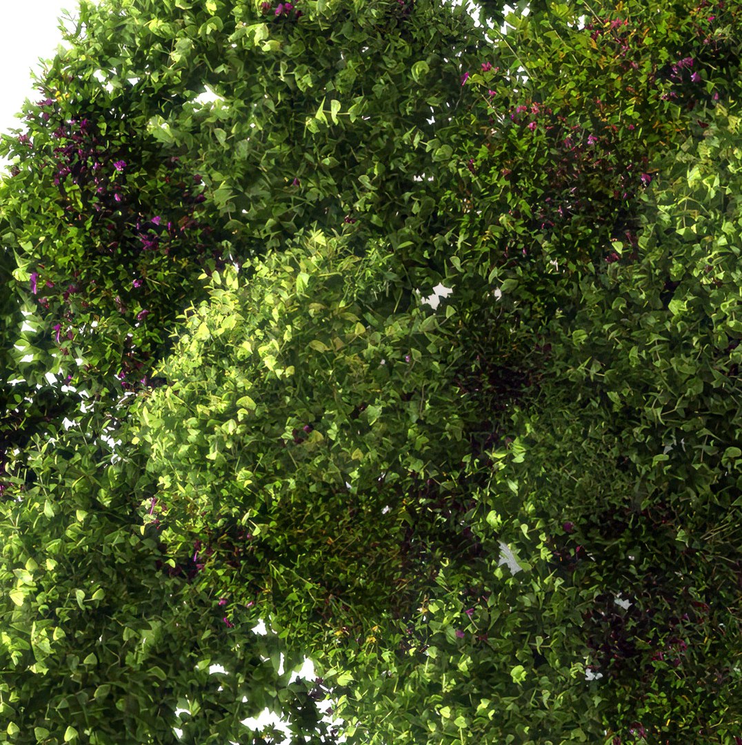 3D greenery Modern outdoor model - TurboSquid 2103624