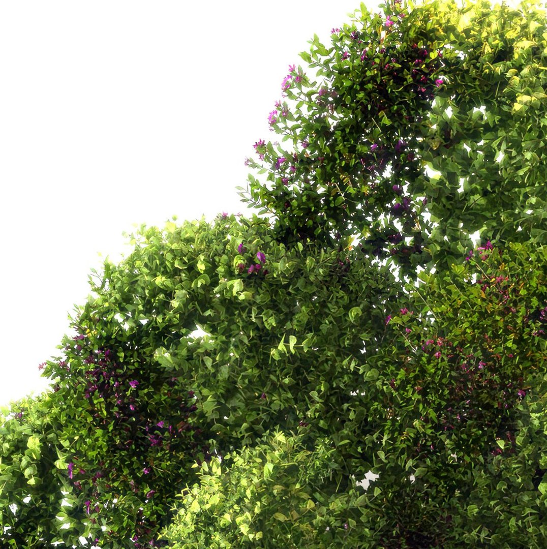 3D greenery Modern outdoor model - TurboSquid 2103624