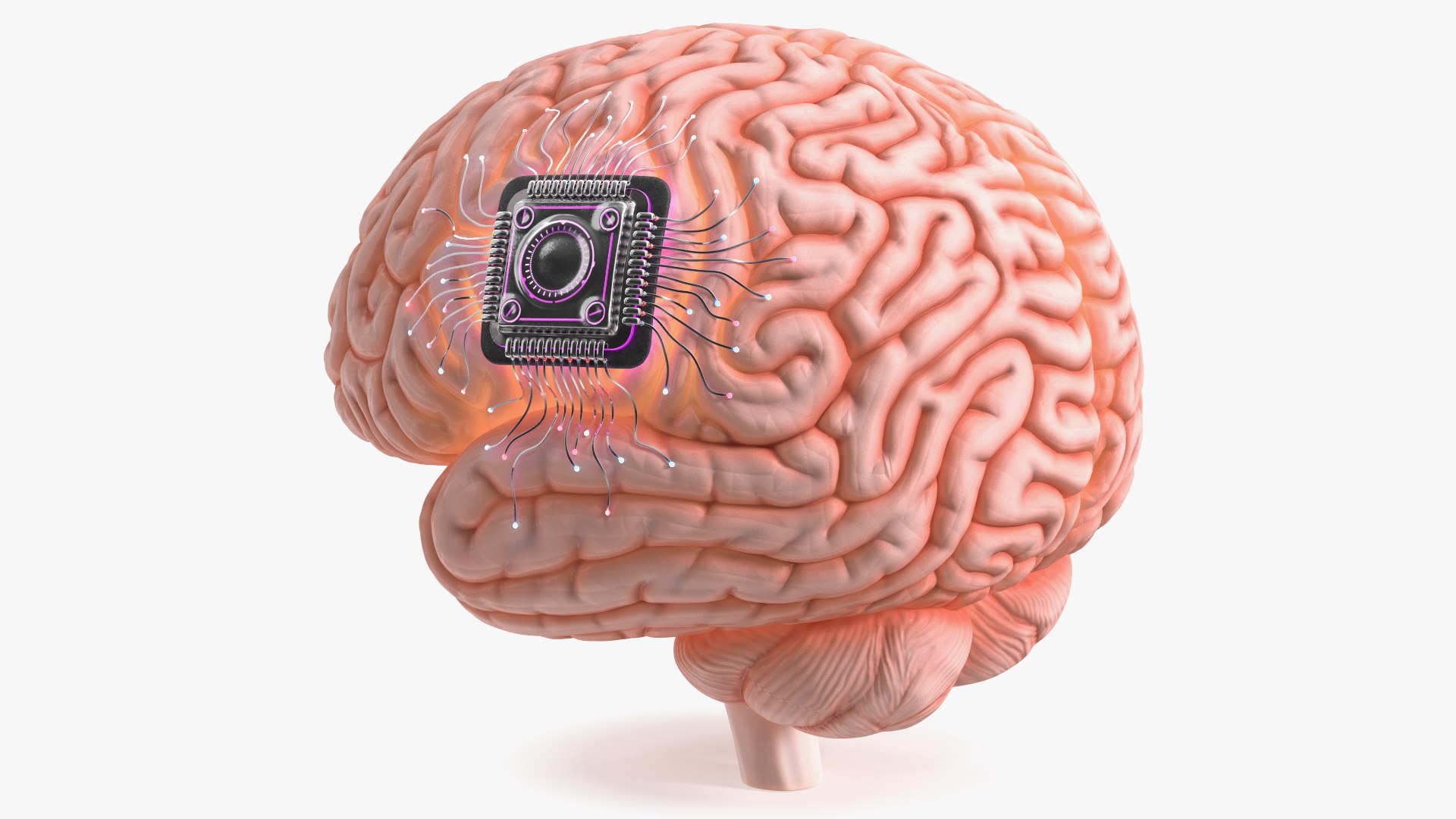 Human Brain With Implanted Microchip Lighted 3D Model - TurboSquid 2264165