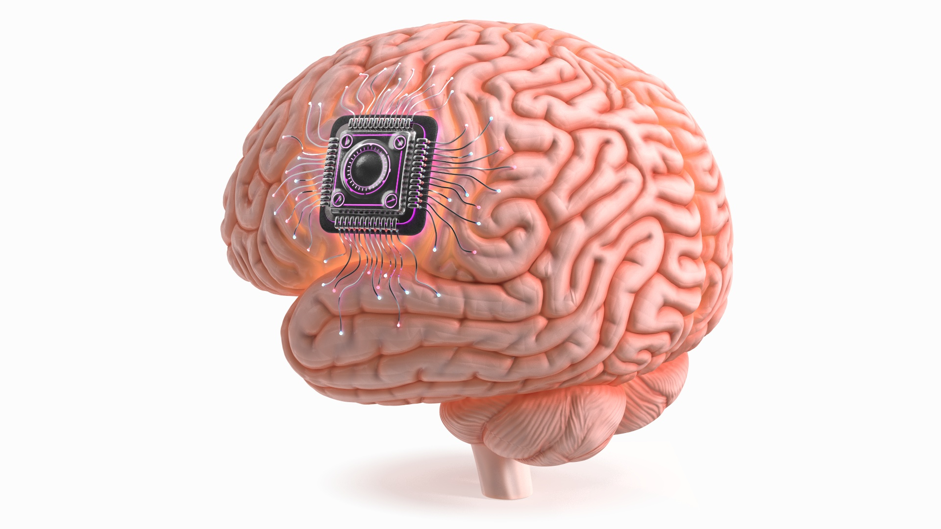 Human Brain With Implanted Microchip Lighted 3D Model - TurboSquid 2264165