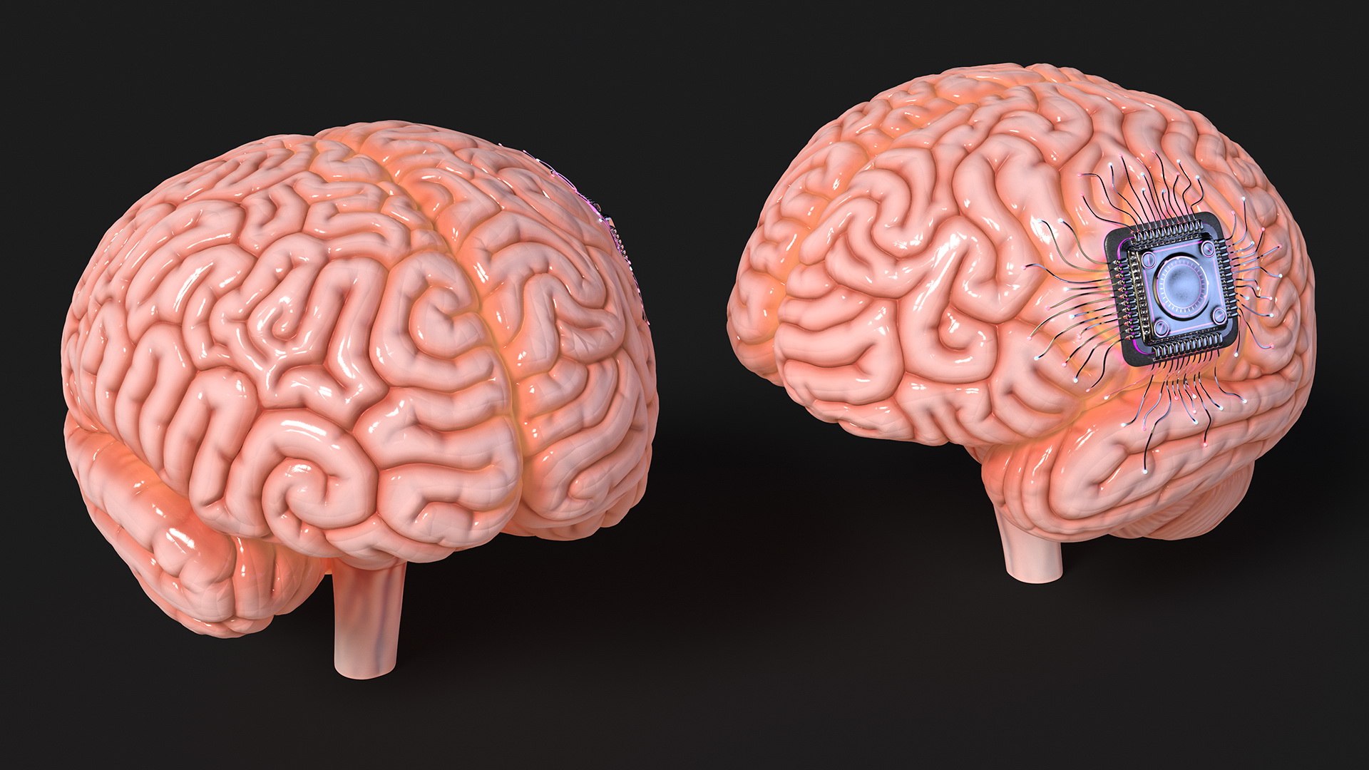 Human Brain With Implanted Microchip Lighted 3D Model - TurboSquid 2264165
