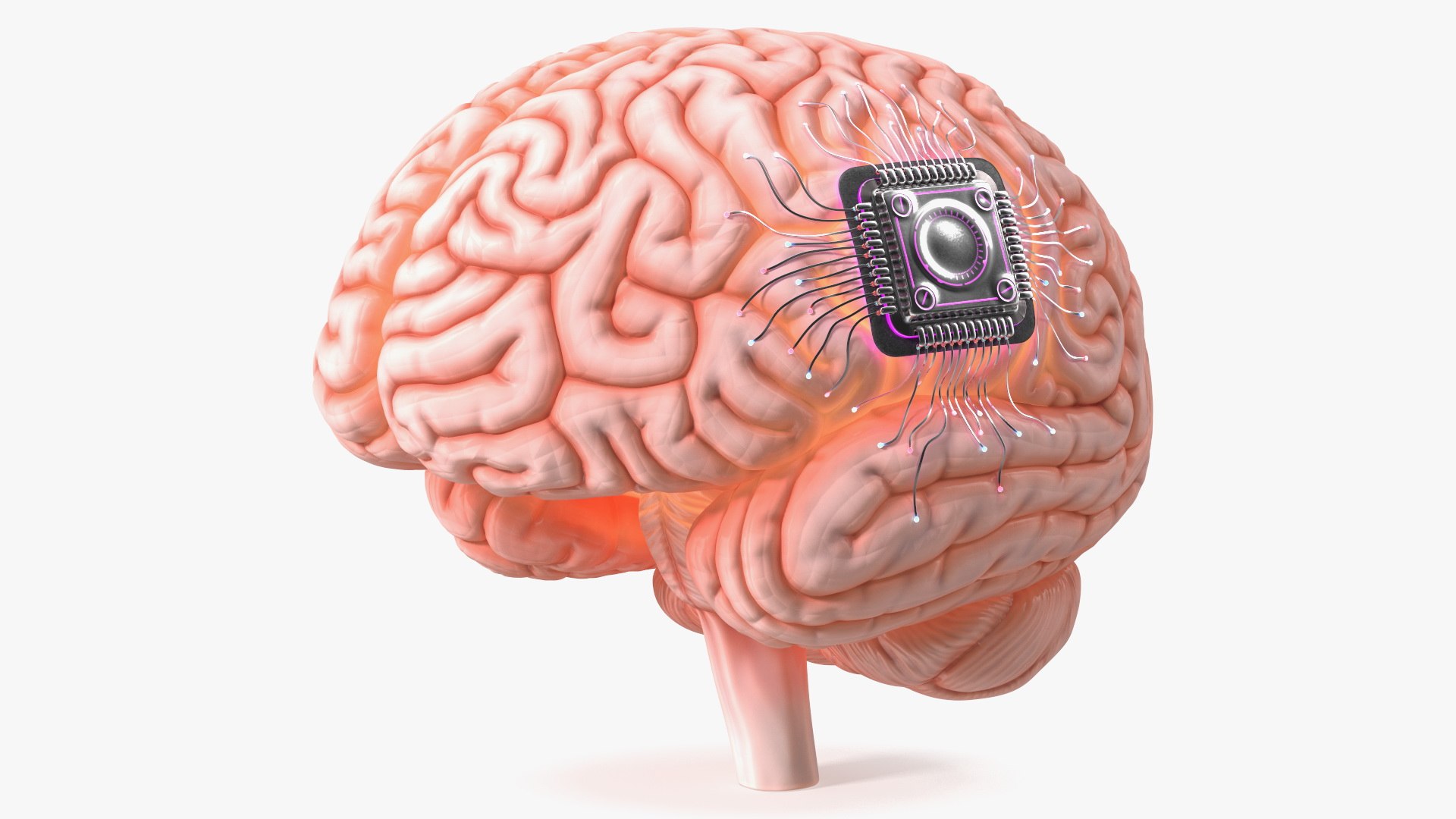 Human Brain With Implanted Microchip Lighted 3D Model - TurboSquid 2264165