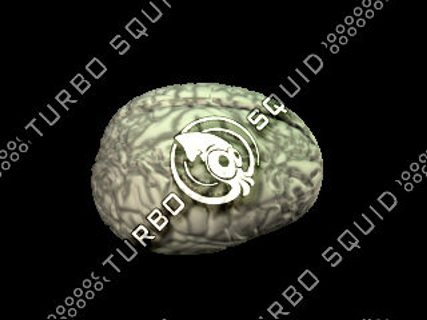 3d Brain Frame Model