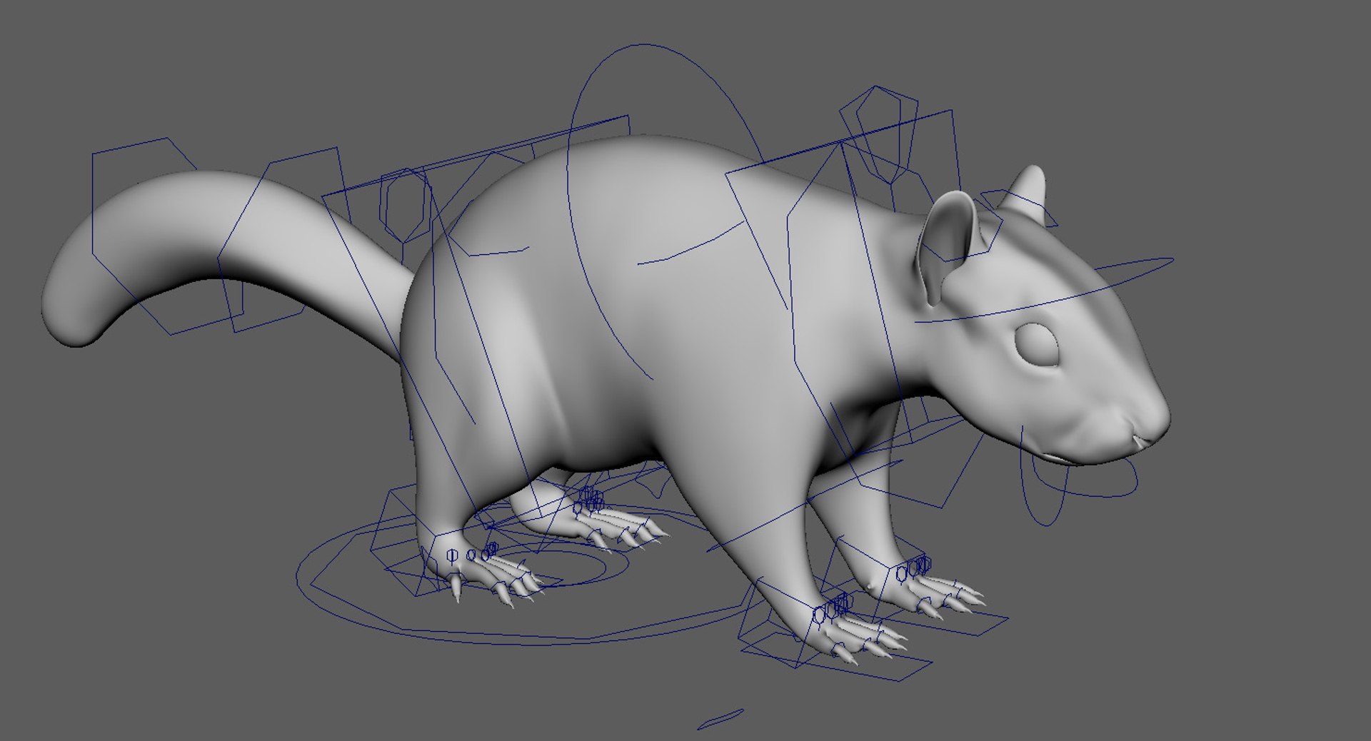 3D Squirrel Rigged Fur 2 - TurboSquid 1300388