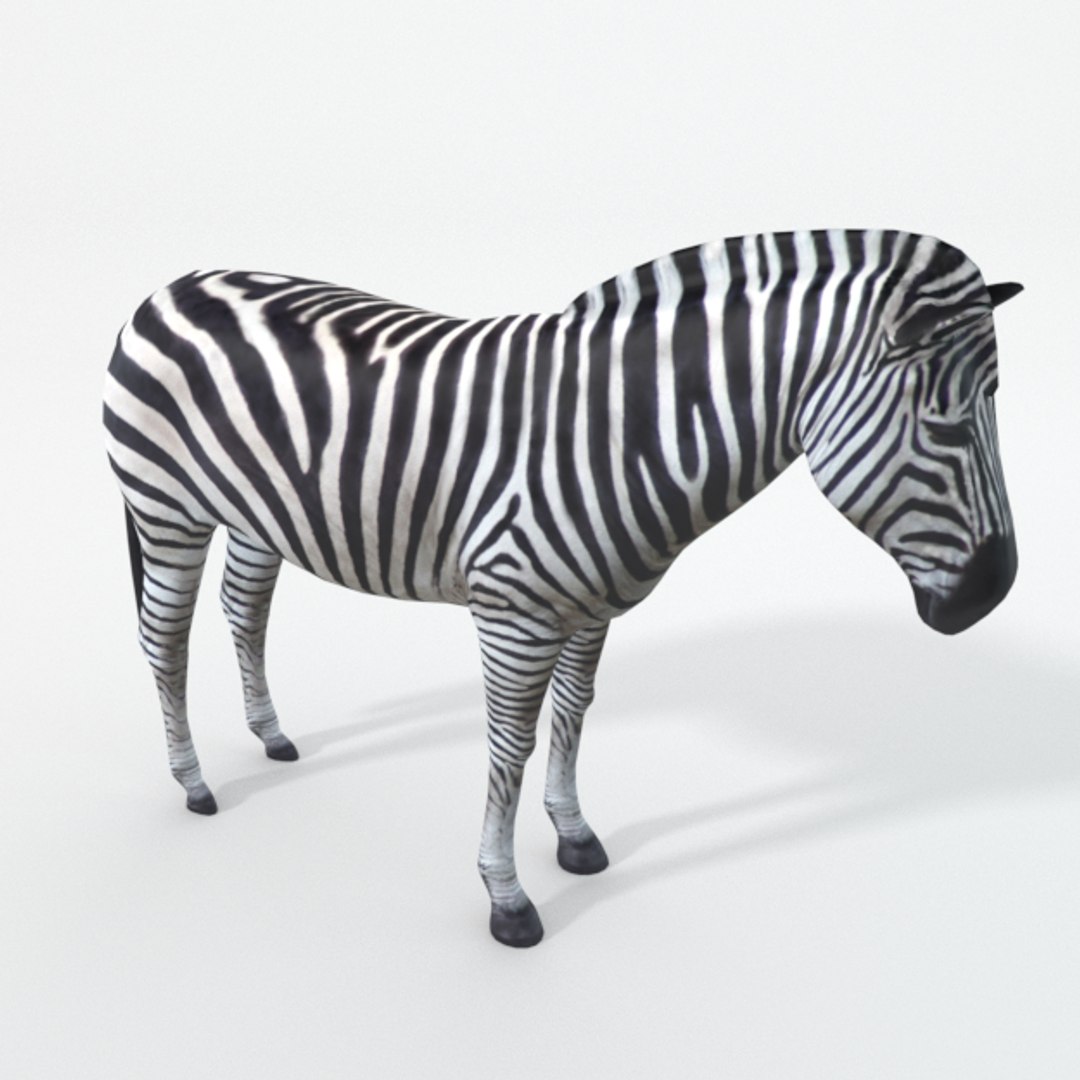 3D zebra model - TurboSquid 1316825