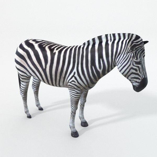 Zebra Blender Models for Download | TurboSquid