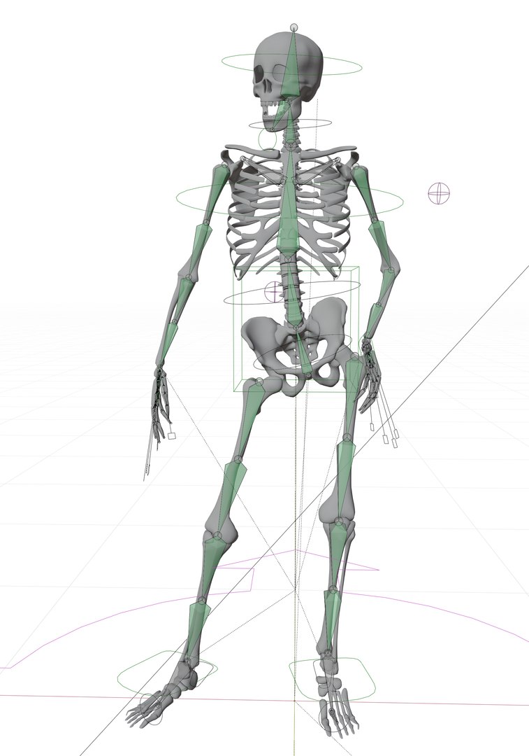 3D Human Skeleton - TurboSquid 1591738