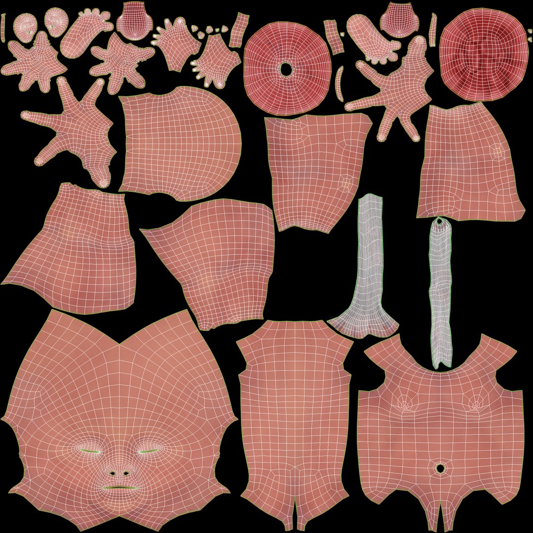 3D Fetus Week 38 Model - TurboSquid 1224489
